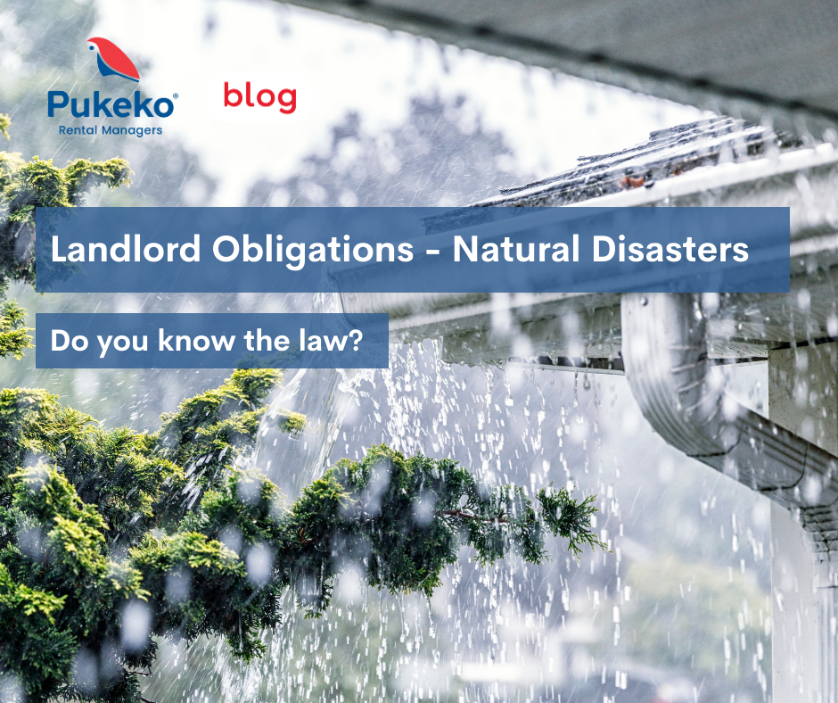 Paul McKenzie - Property Management Blog | Palmerston North